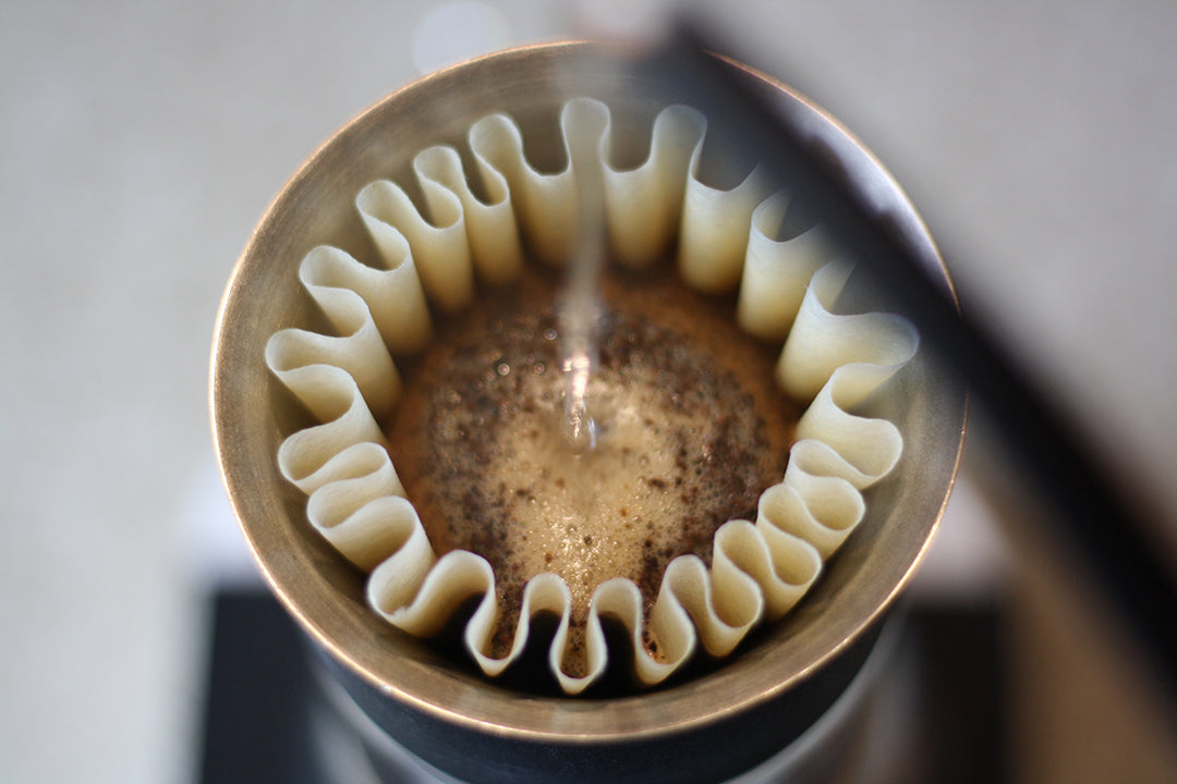 Brewing at home with Terrain Coffee – Terrain Coffee Project